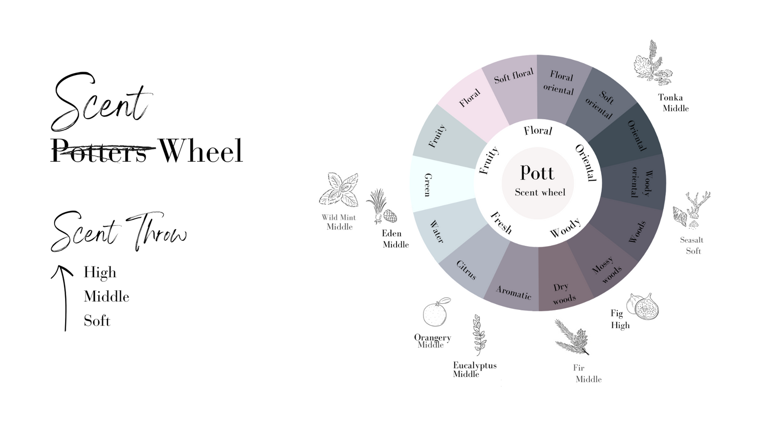 Scent Samples – pottcandles