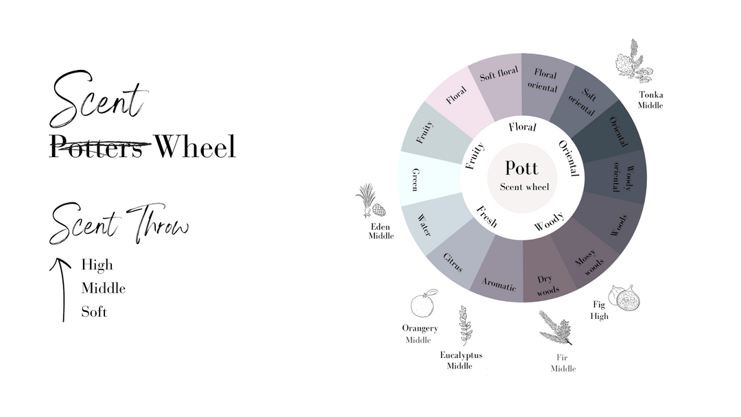 Our Scents - Refillable Candles & Diffuser Oils | Pott – pottcandles